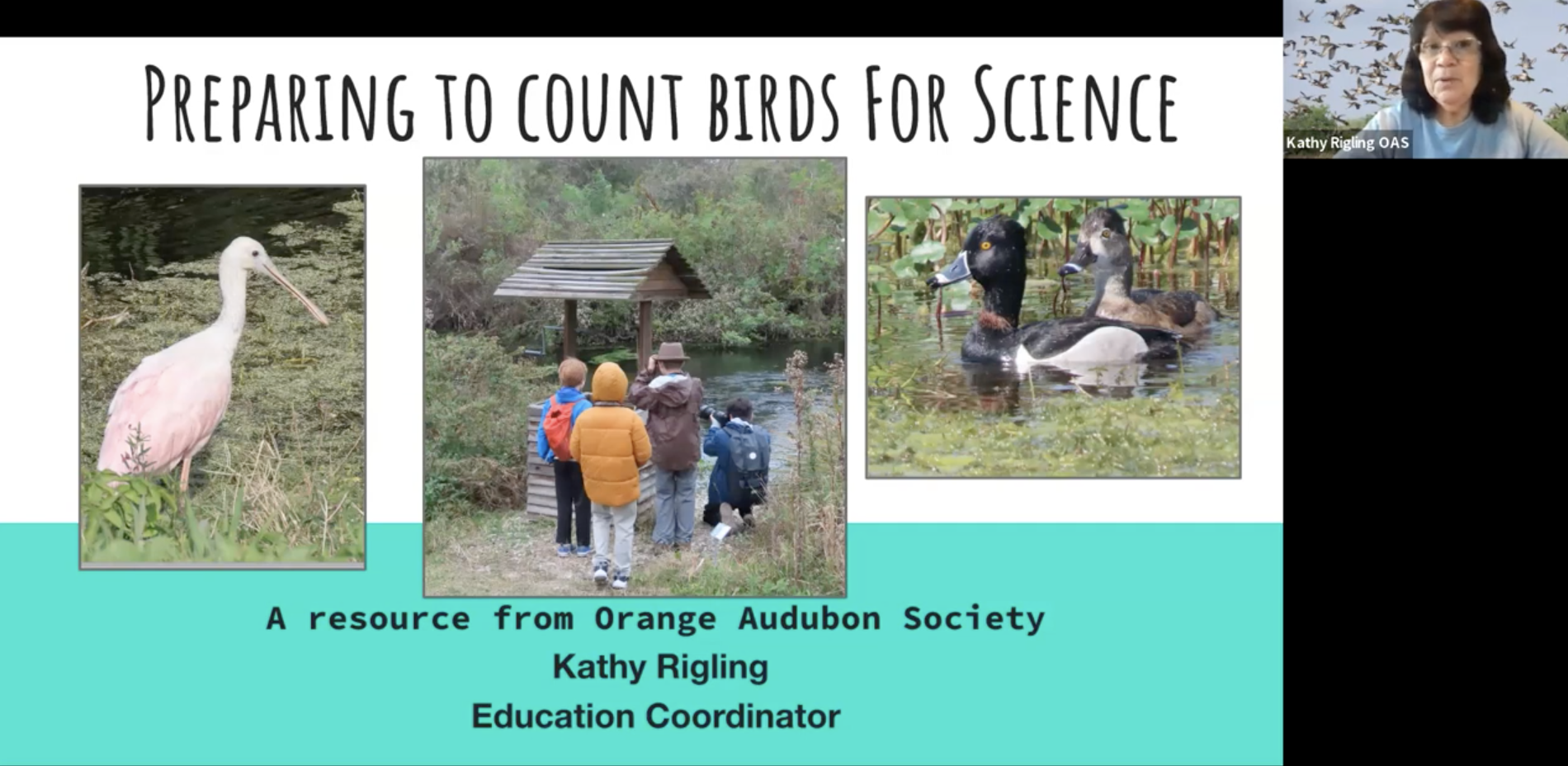 Monthly Webinar for Educators | Orange Audubon Society